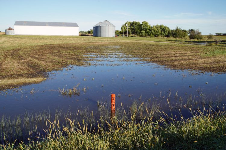 Conservation Field Day set | News, Sports, Jobs - The Freeman Journal